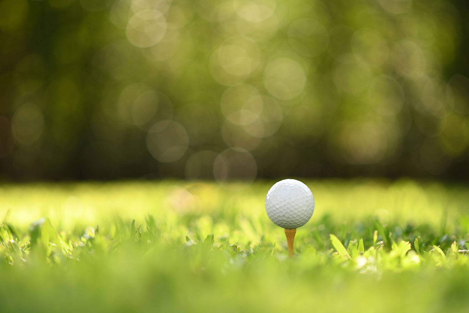 Book Your Golf Experience at Laguna Lang Co