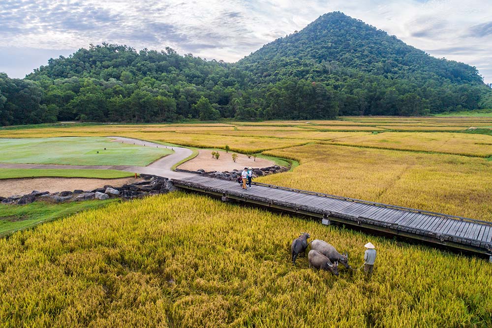 Jungle Farm at Laguna Lang Co: A Natural & Organic Experience