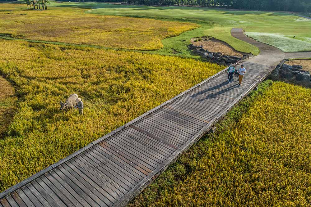 Jungle Farm at Laguna Lang Co: A Natural & Organic Experience