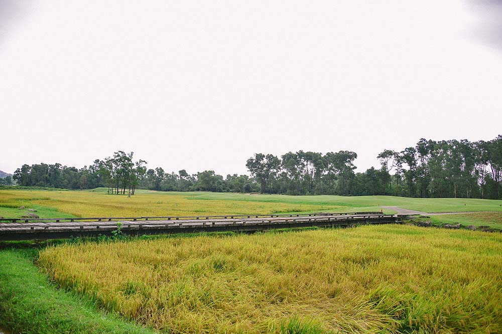 Jungle Farm at Laguna Lang Co: A Natural & Organic Experience