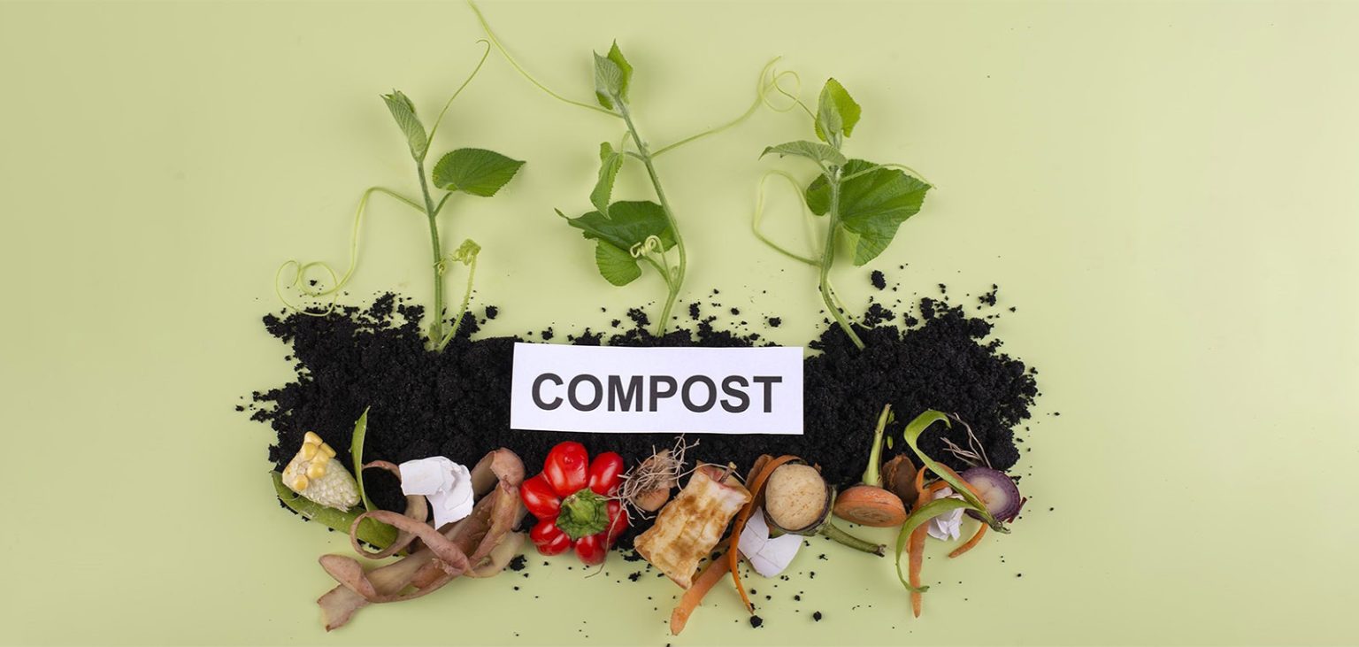 Composting Food Waste - Laguna Lăng Cô